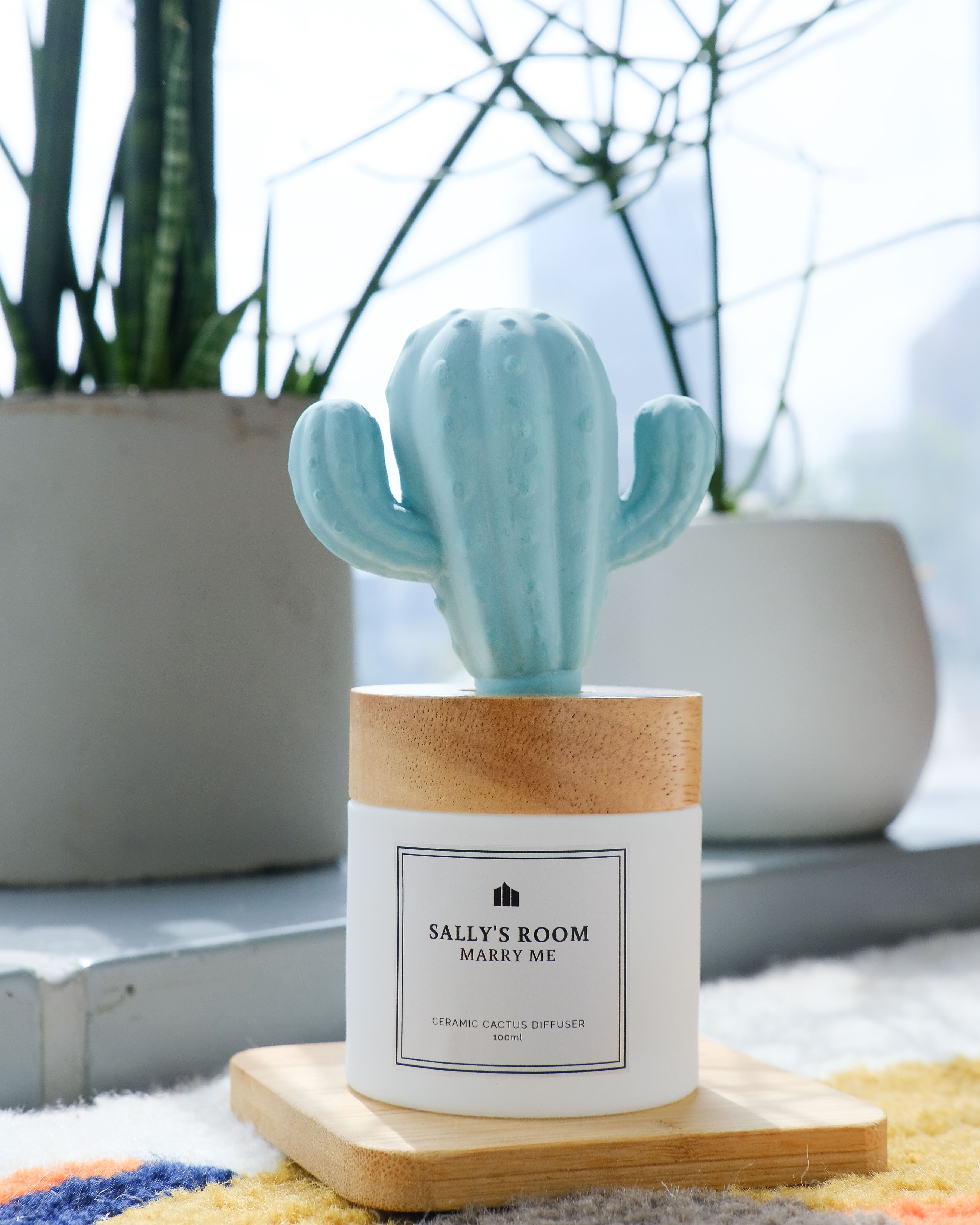 Ceramic Cactus Accessories | Sally's Room SG – Sally's Room - Handmade ...